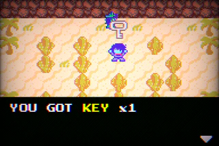 Key (The Legend of Tenna) - The Deltarune Wiki