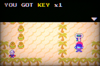 Key (The Legend of Tenna) - The Deltarune Wiki